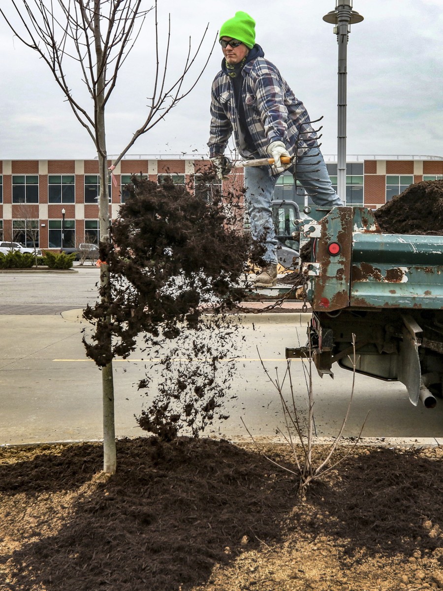 Best Technology for Carbon Capture: Planting Trees | RealClearEnergy