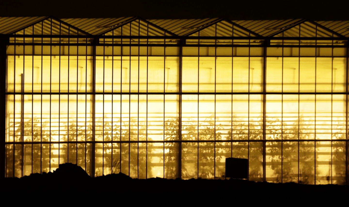 Where Light Pollution Is Seeping Into the Rural Night Sky | RealClearPolicy