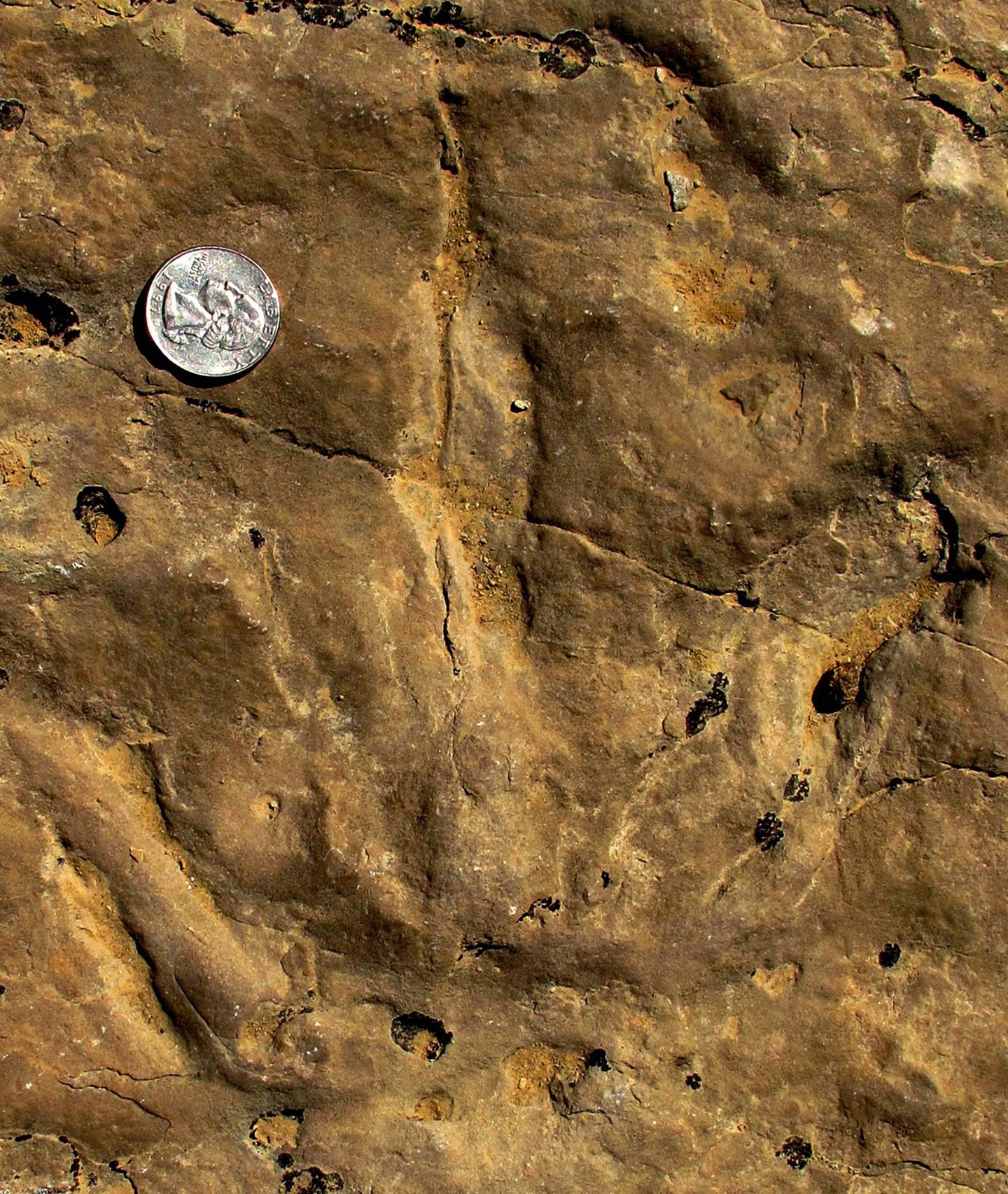 Days Were Half-Hour Shorter 70 Million Years Ago | RealClearScience