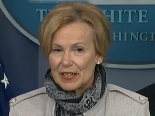 Dr. Deborah Brix: Number Of People Testing Positive For Coronavirus Is ...