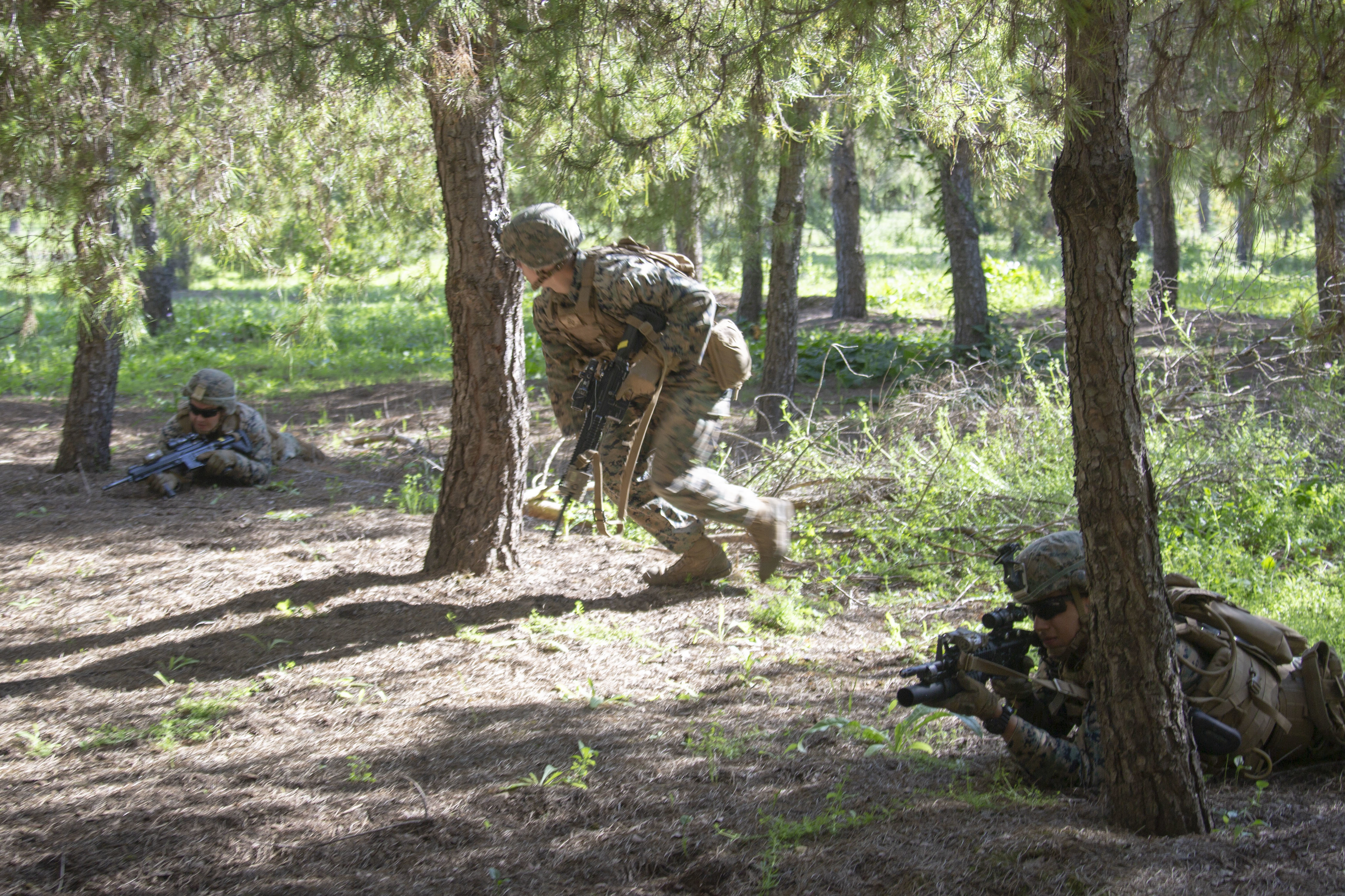 The U.S. Marine Corps Is Changing. Why Should We Care? | RealClearDefense