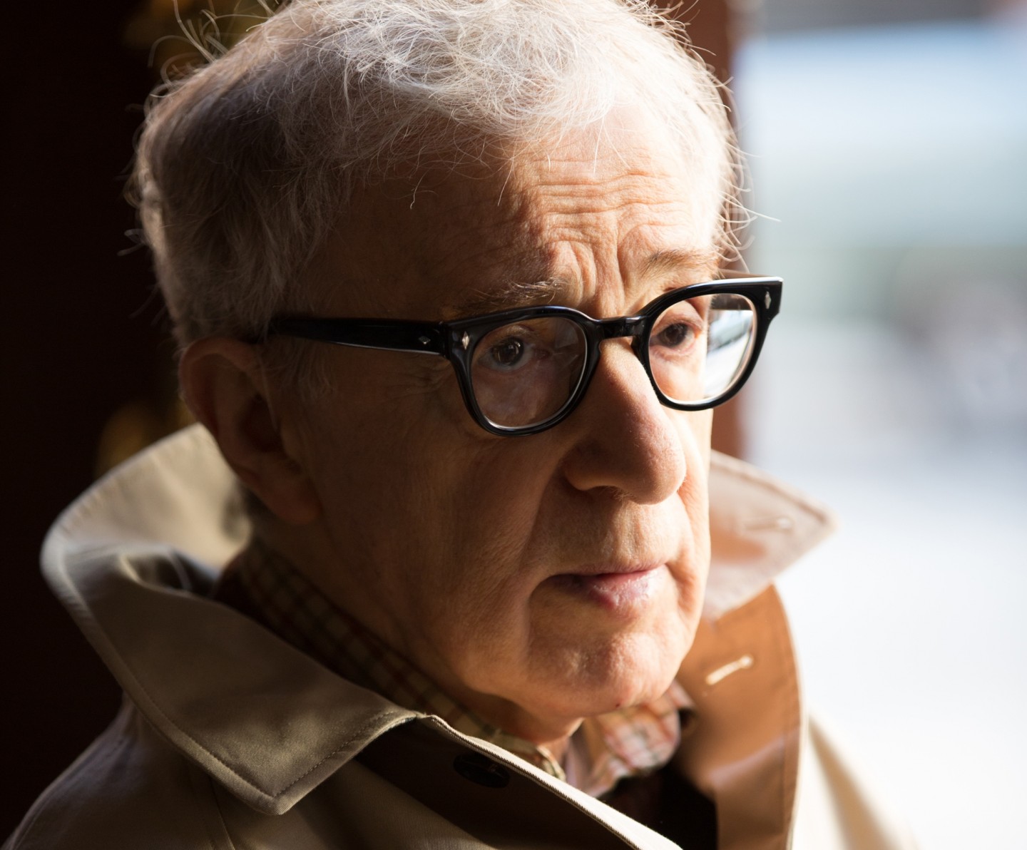 Woody Allen: the Pseudo-Intellectual | RealClearBooks