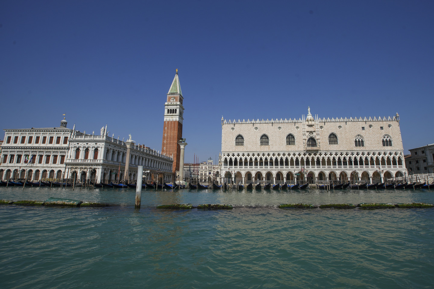 Venice's Black Death and the Dawn of Quarantine | RealClearScience