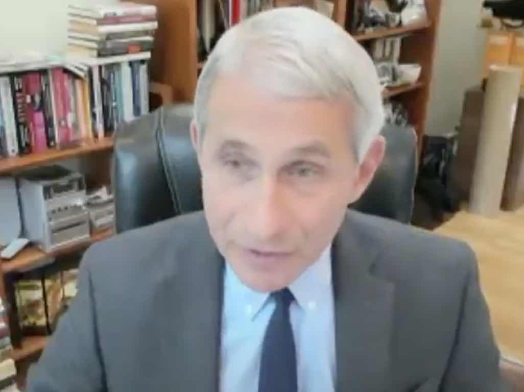Watch: Dr. Anthony Fauci, Public Health Officials Testify To Senate ...