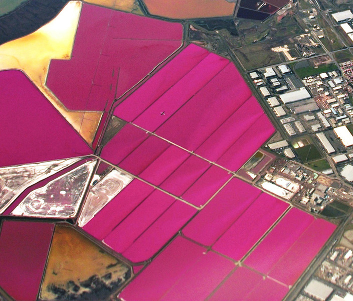 Why Early Earth May Have Been Mostly Purple | RealClearScience