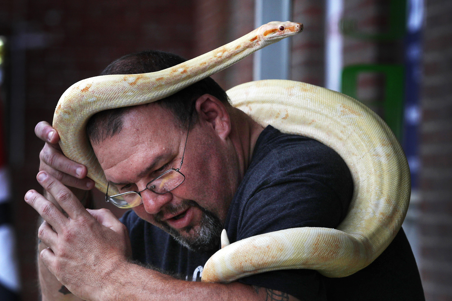 How Do Snakes Drink? | Video | RealClearScience