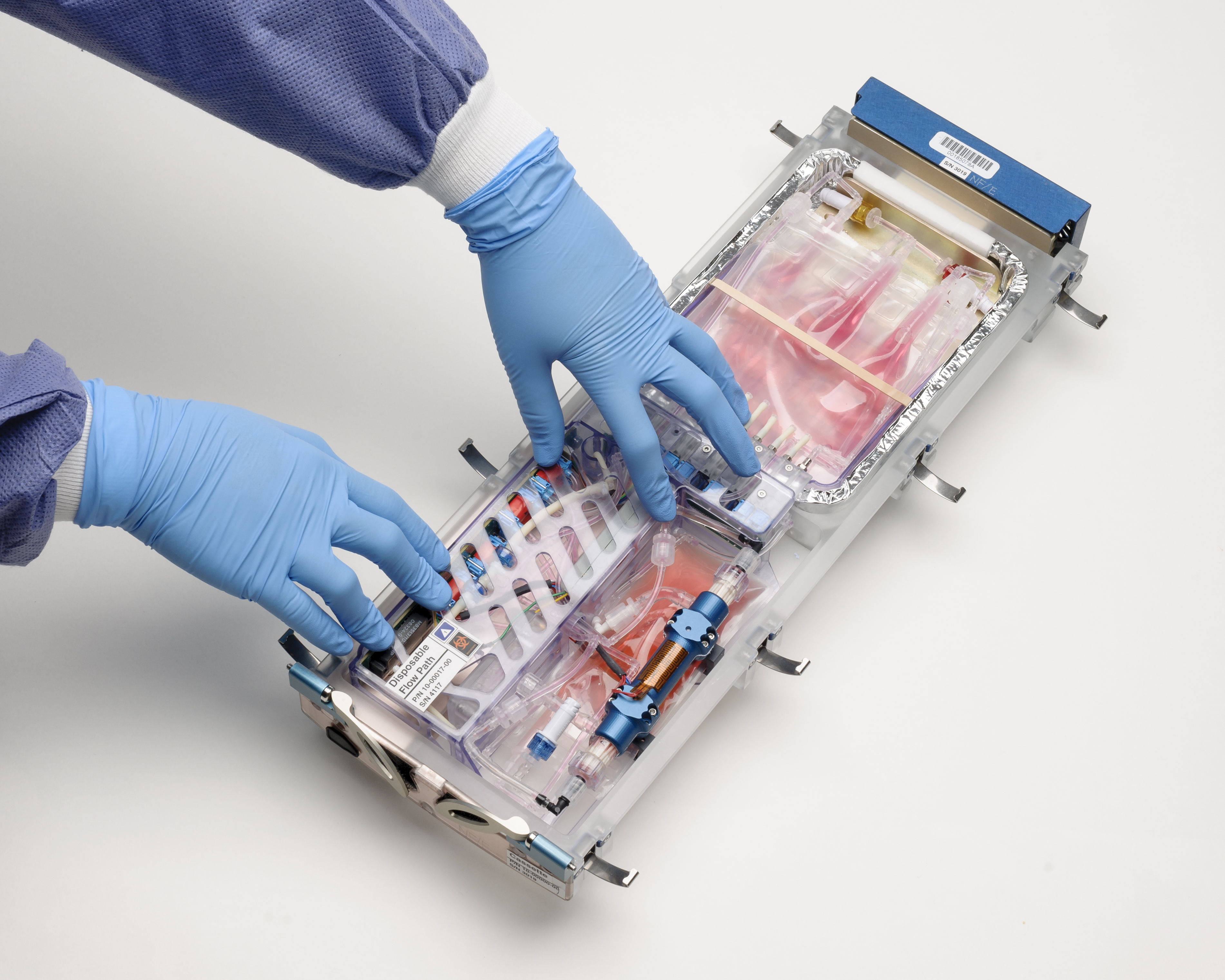 Why Are Scientists Trying to Make Organs in Space? | RealClearScience