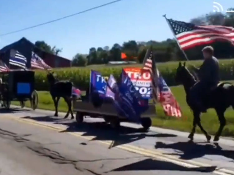 Amish Buggy Parade For Trump In Fredericksburg, Ohio | Video ...