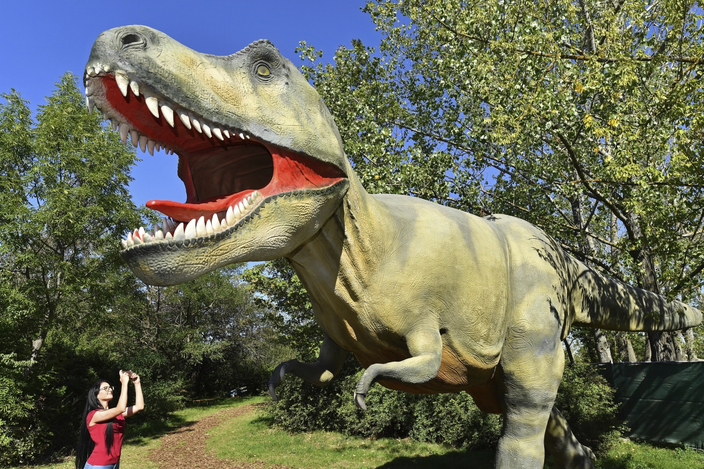 Could Dinosaurs Evolve Back Into Existence? | RealClearScience