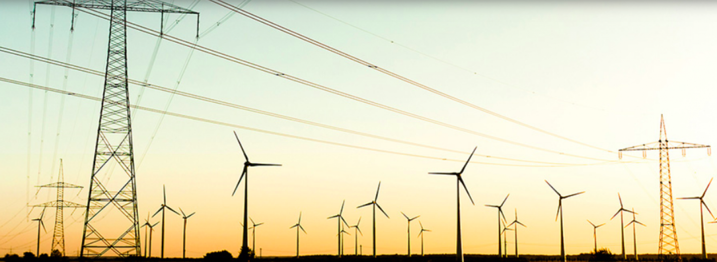 The Renewable Energy Cure Is Worse Than The Disease | RealClearMarkets