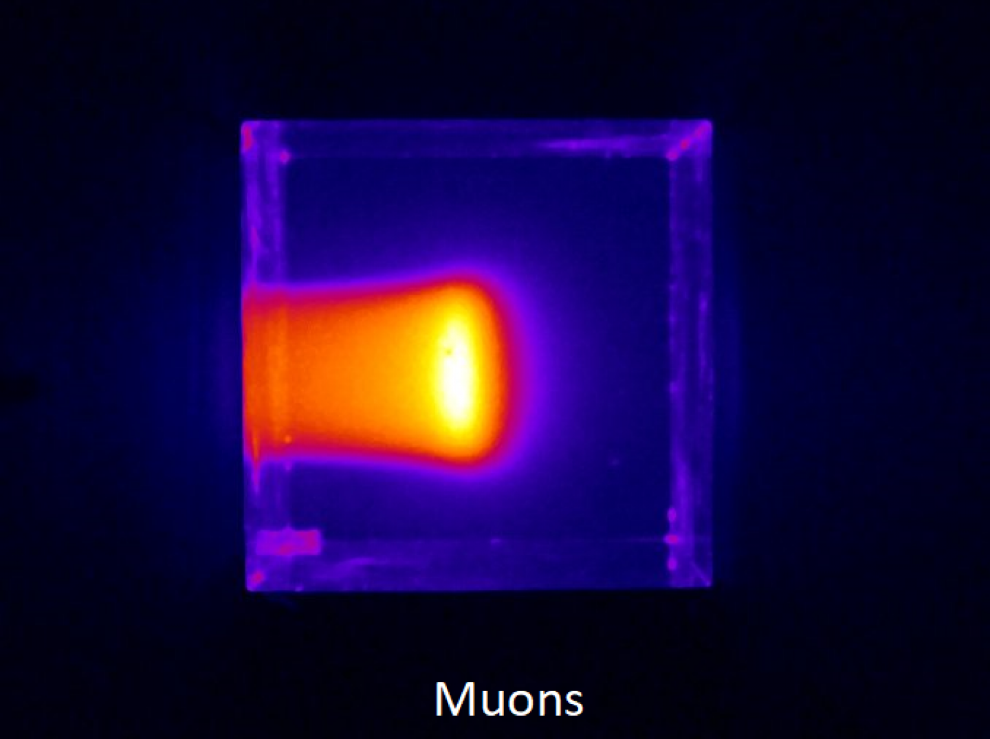 The First Images of Muon Beams | RealClearScience