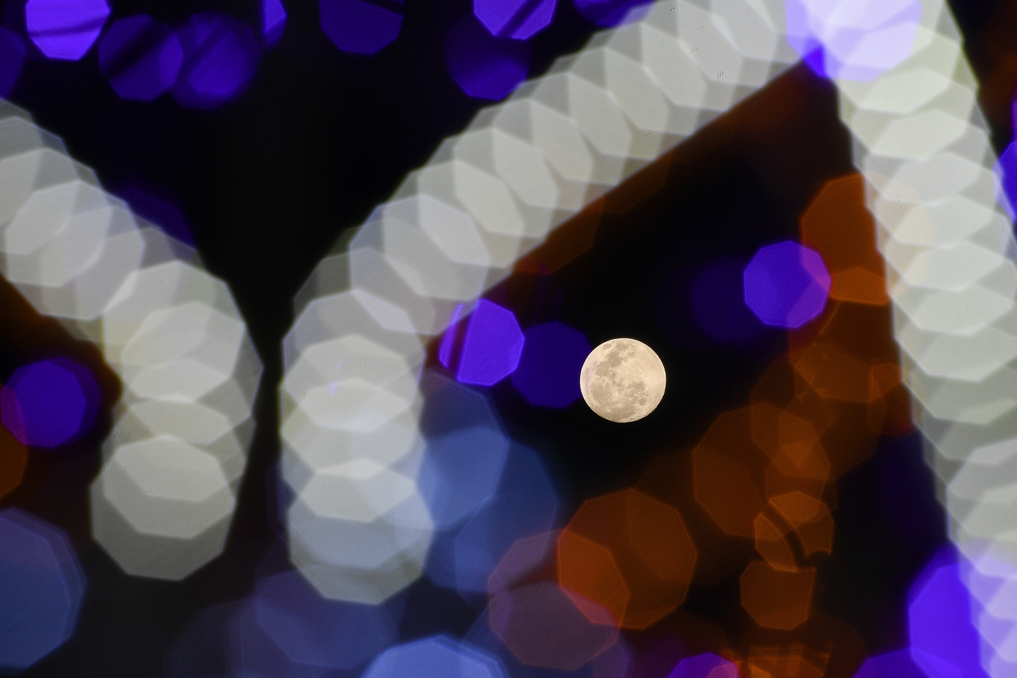 Menstrual Cycles Intermittently Sync With Moon Cycles | RealClearScience