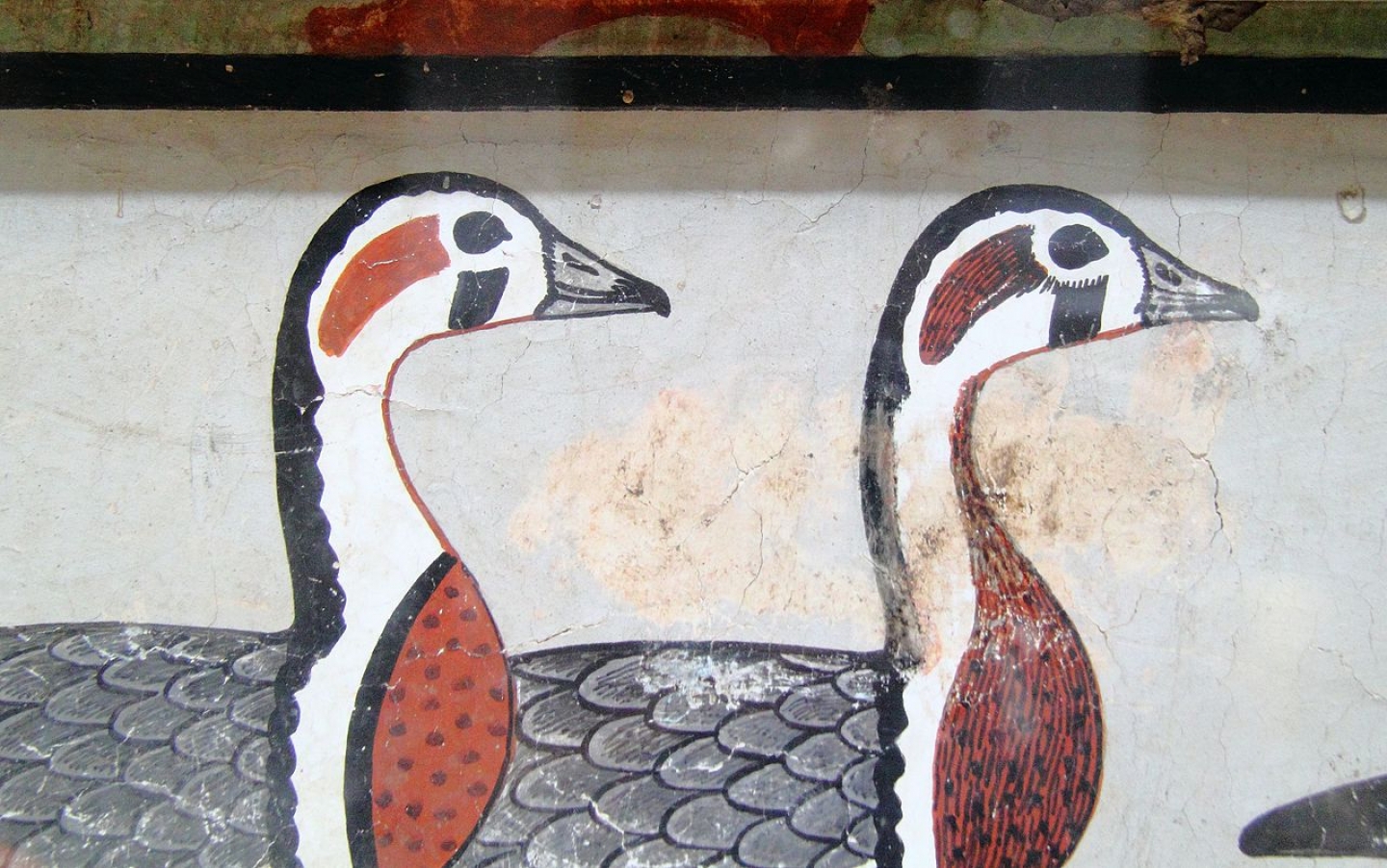 Egypt’s 'Mona Lisa' May Depict Extinct Goose Species | RealClearScience
