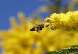 RealClearScience - Opinion, News, Analysis, Video and Polls