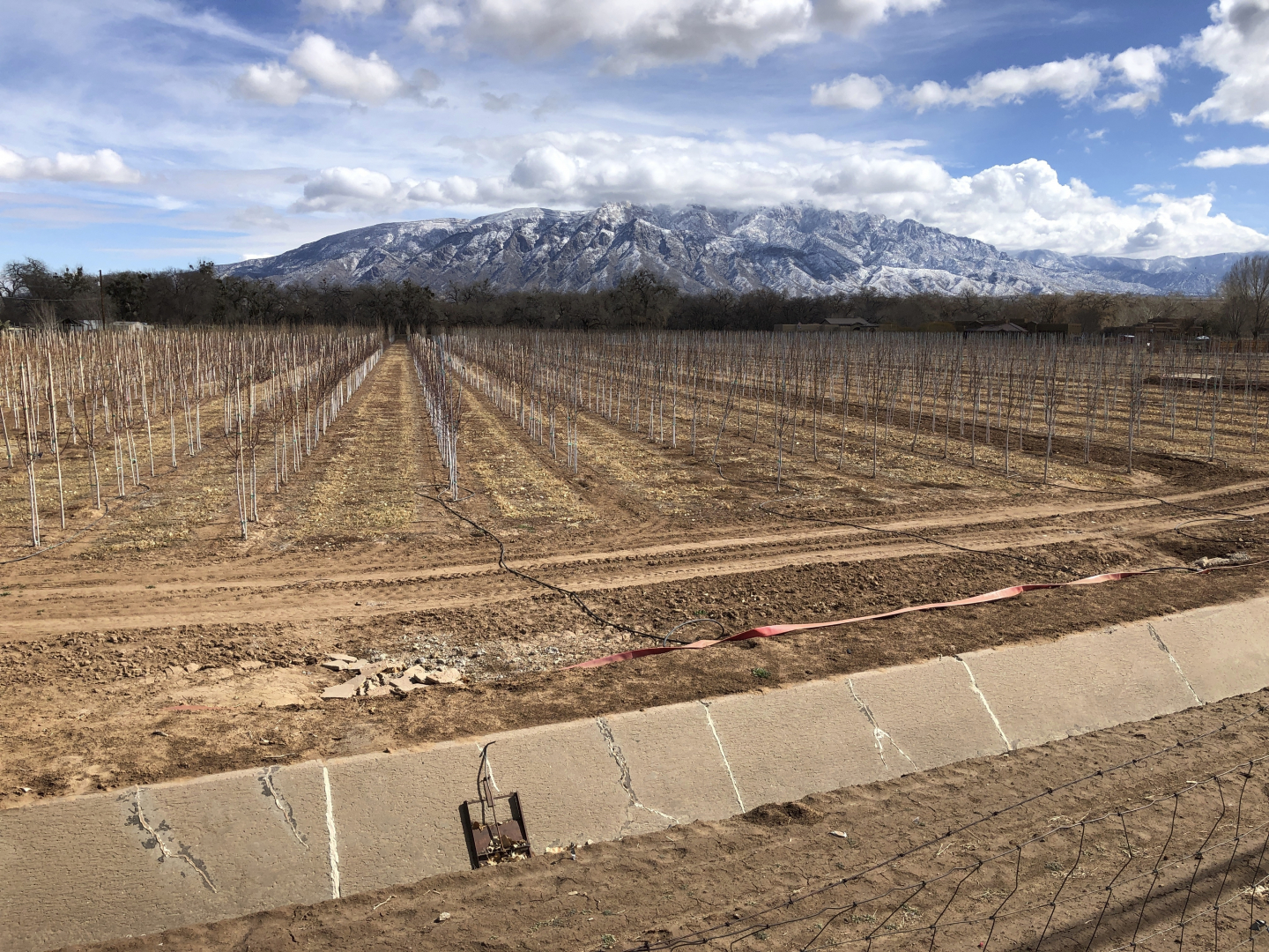 'Interstate Water System' to Fix West's Woes | RealClearPolicy