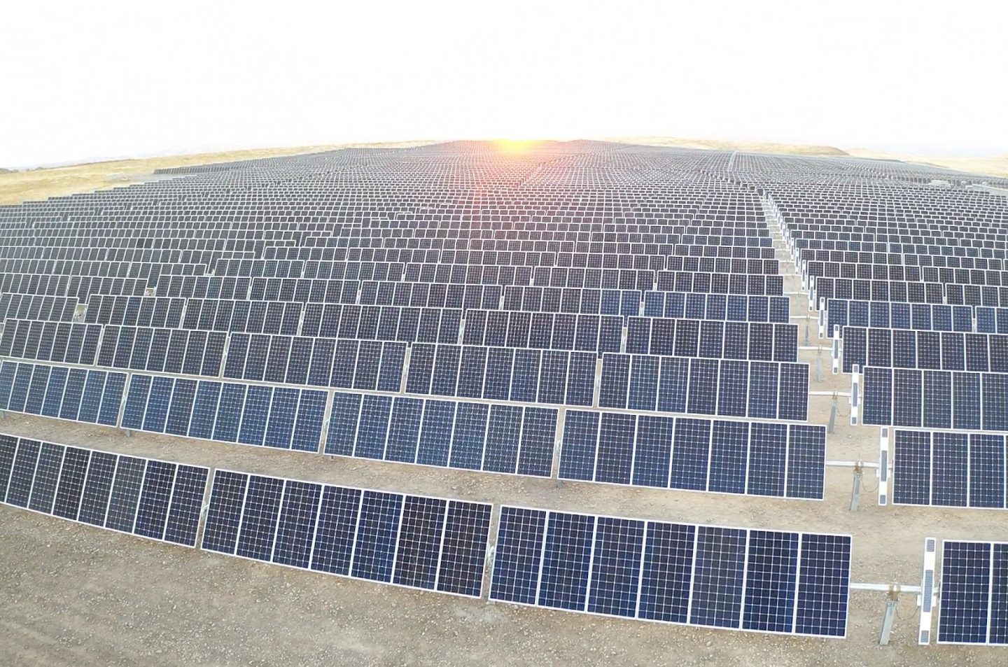 Microbial Protein Produced With Solar Could Feed World | RealClearScience