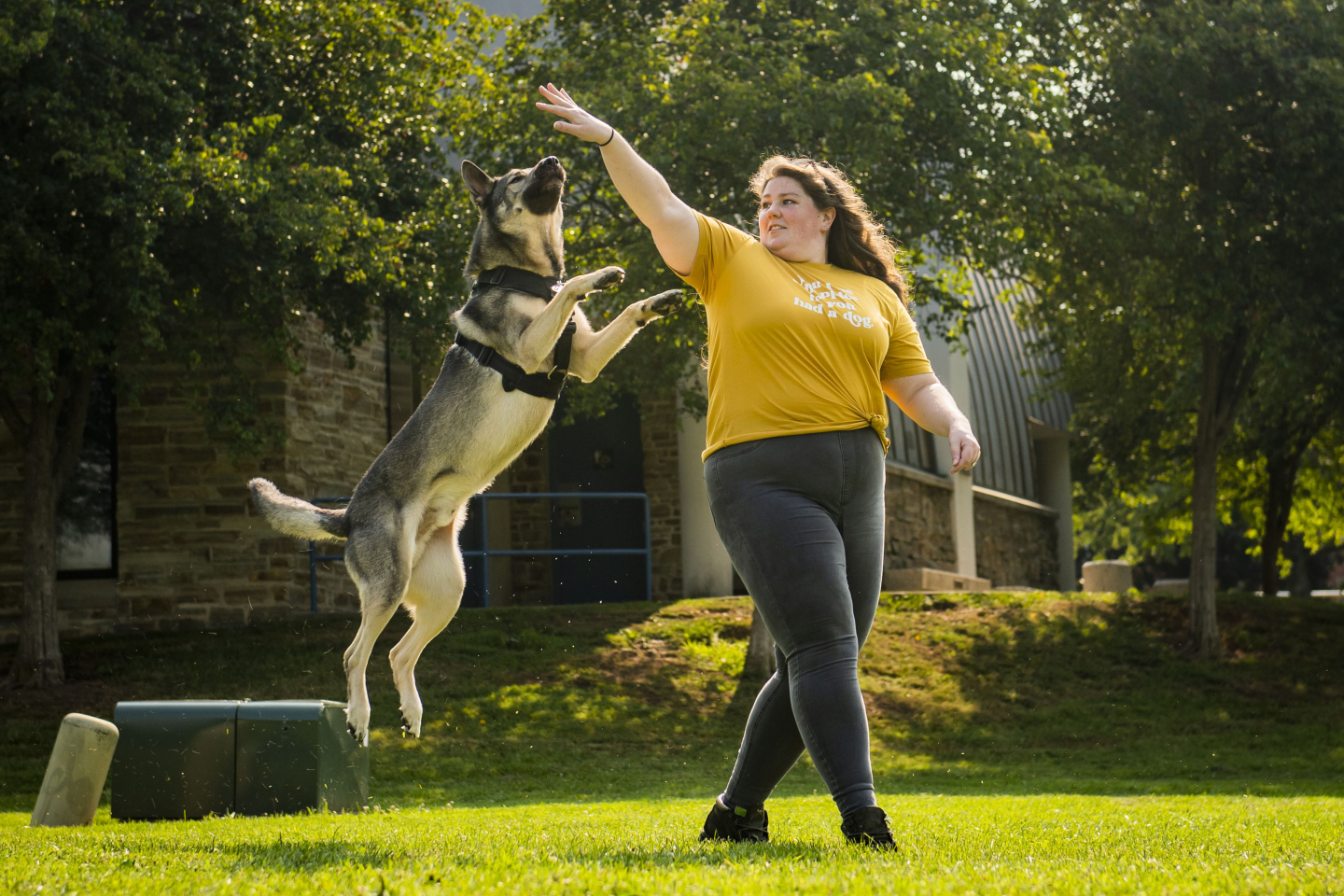 Shock Collars May Make Dogs More Pessimistic RealClearScience shock-collars-may-make-dogs-more-pessimistic-realclearscience