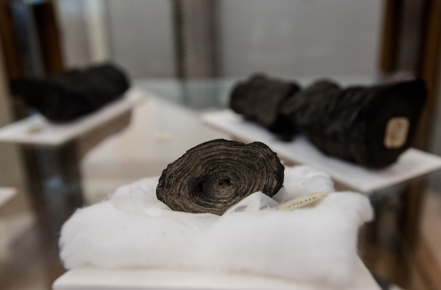 Skeleton Buried in Vesuvius Eruption at Herculaneum | RealClearScience