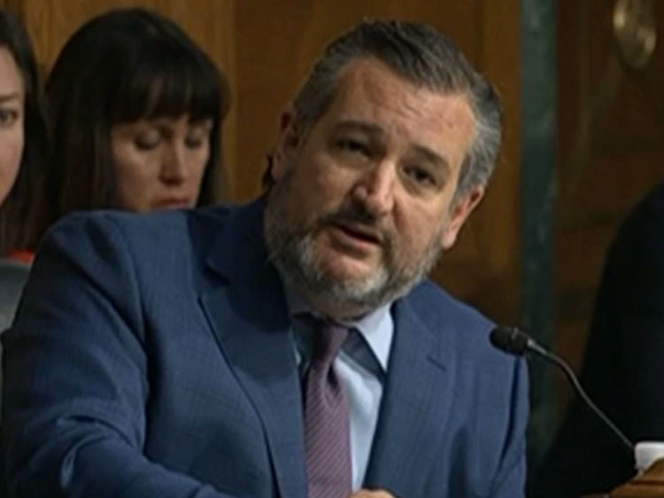 Cruz Grills Garland: "If Critical Race Theory Is Taught In More Schools ...