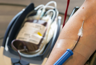 Golden Blood: The Rarest Blood in the World | RealClearScience