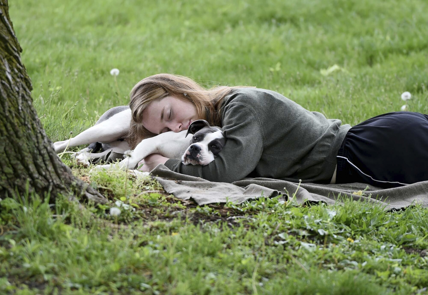 Can Medieval Sleeping Habits Fix America’s Insomnia? | RealClearScience