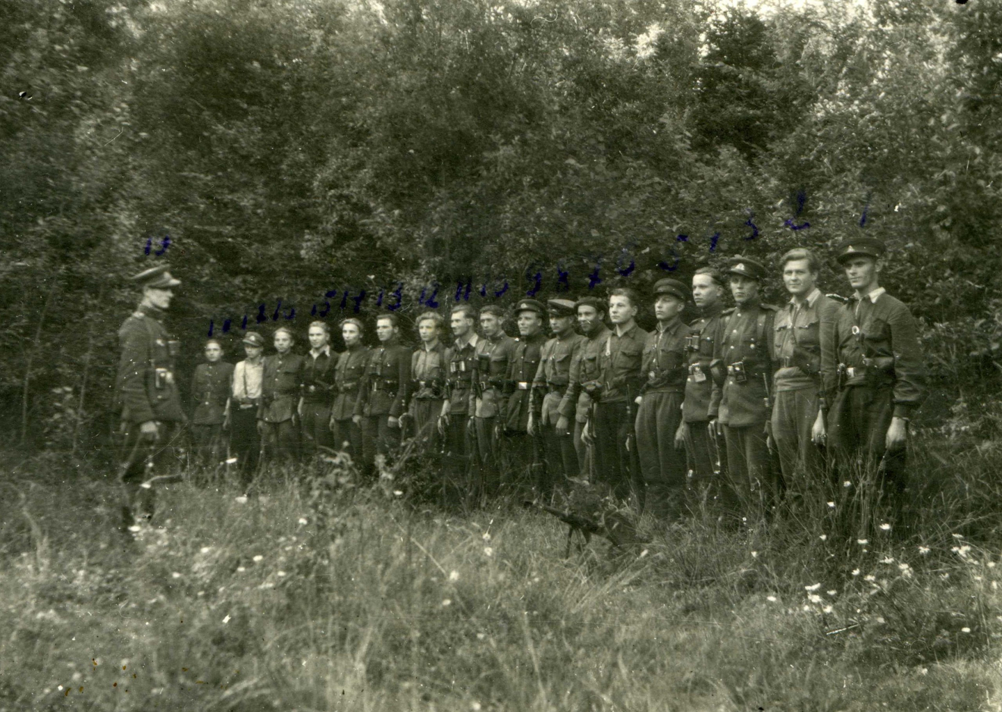 Back to the Future: Next Generation Forest Brothers | RealClearDefense