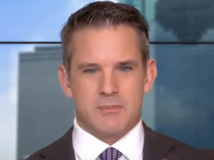 Kinzinger: We Have To Recognize The Possibility Of A Civil War That ...