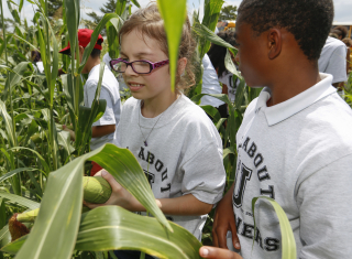 Why Texas Has the Country’s Worst Corn | RealClearScience