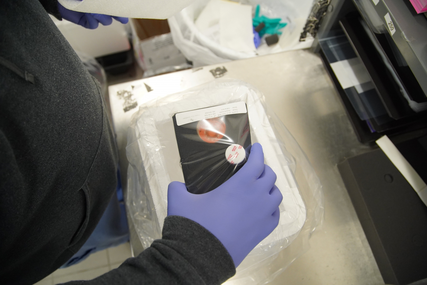 Bioengineered Cornea Can Restore Sight to the Blind | RealClearScience