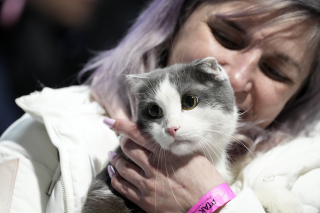 RealClearScience - Opinion, News, Analysis, Video and Polls