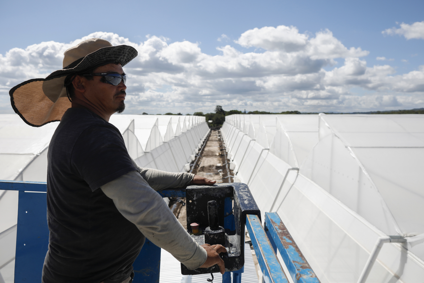 Honduras Conducts Bold Experiment in Economic Freedom | RealClearPolicy