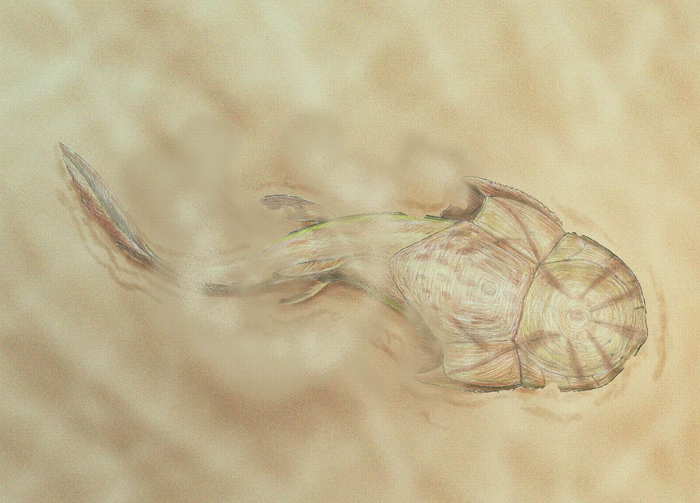 We Found the Oldest Ever Vertebrate Fossil Heart | RealClearScience