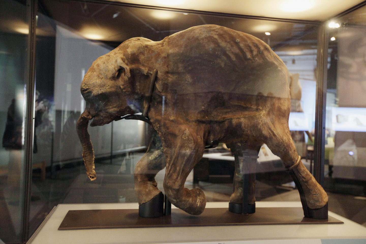 39,000-Year-Old Mammoth RNA Is Oldest Ever Sequenced | RealClearScience