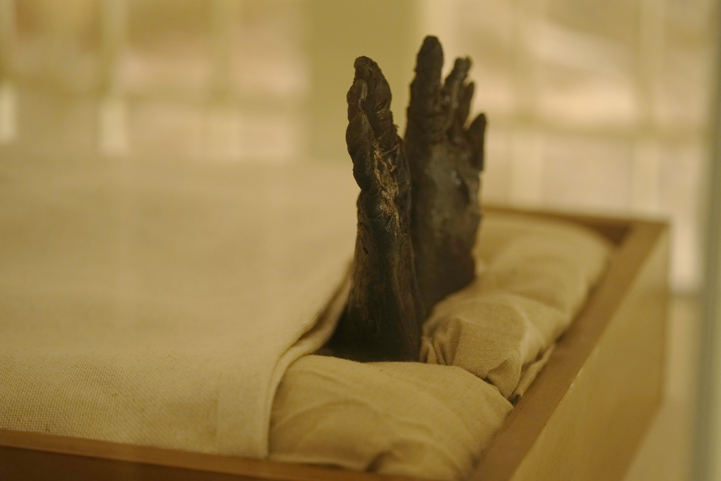 A Tomb of a Forgotten Queen, and Other New Egypt Discoveries ...