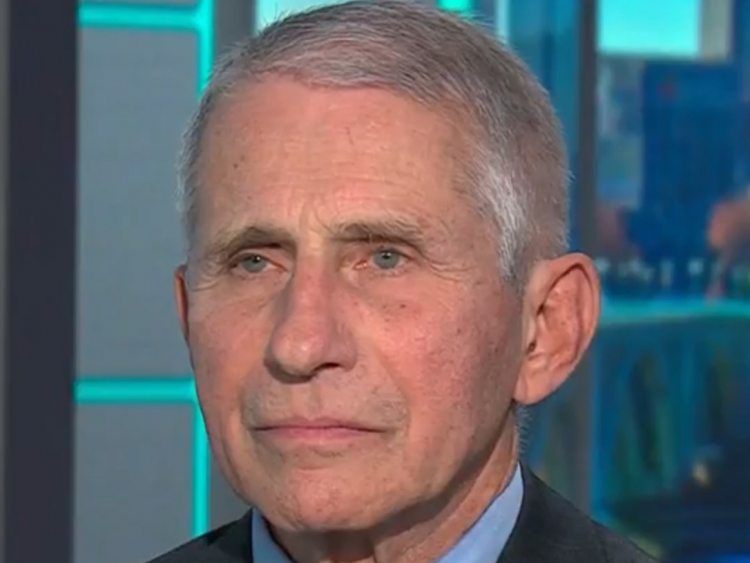 Fauci Blasts Trolls Attacking Family: "A Manifestation Of The Low-Life ...