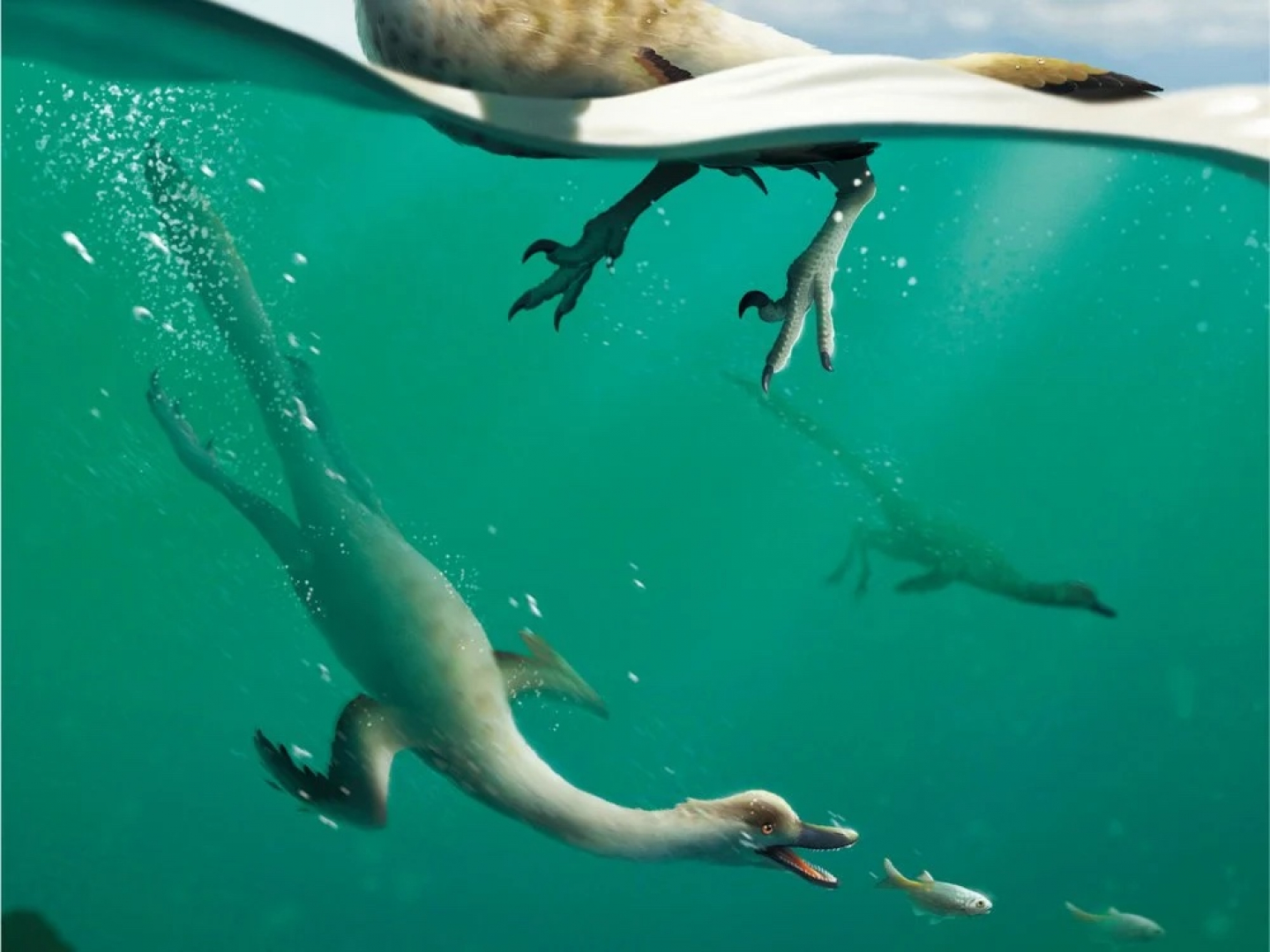 World's First Swimming Dinosaur Discovered in Mongolia | RealClearScience