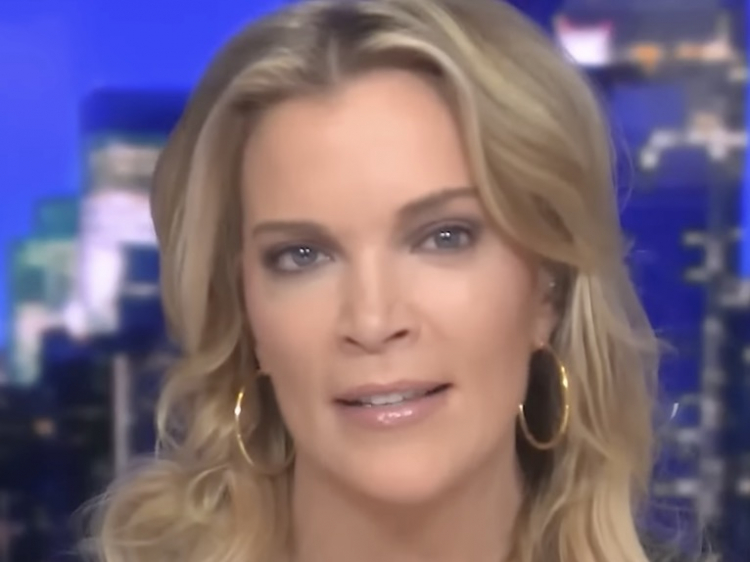 Megyn Kelly Rips New GOP Rep. George Santos: "F This Guy" | Video ...