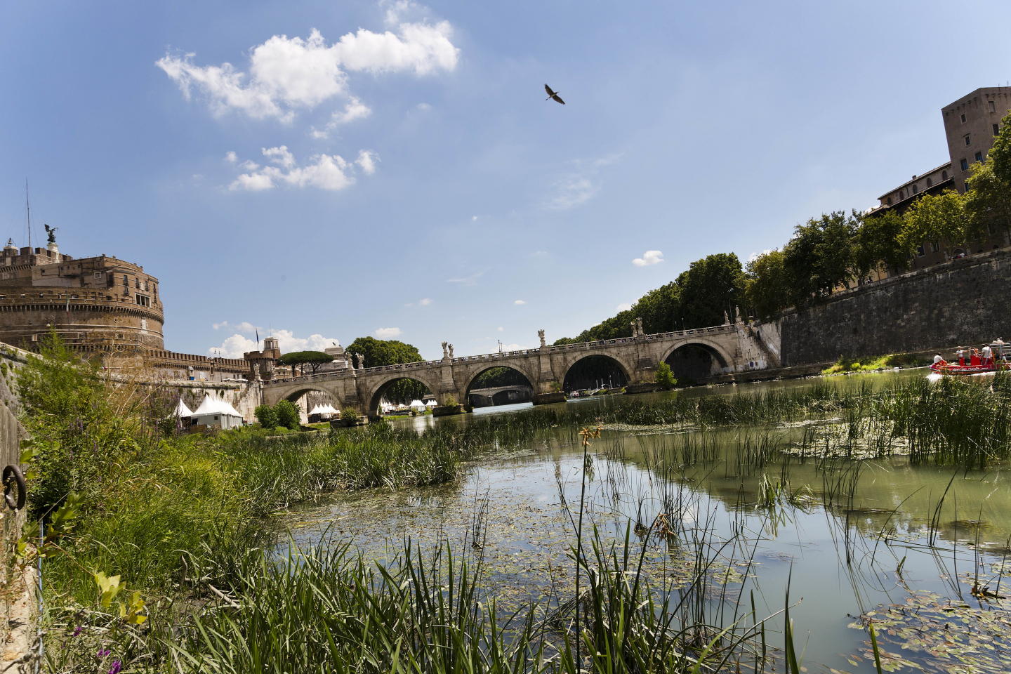 We Finally Know How Ancient Roman Concrete Was So Durable ...