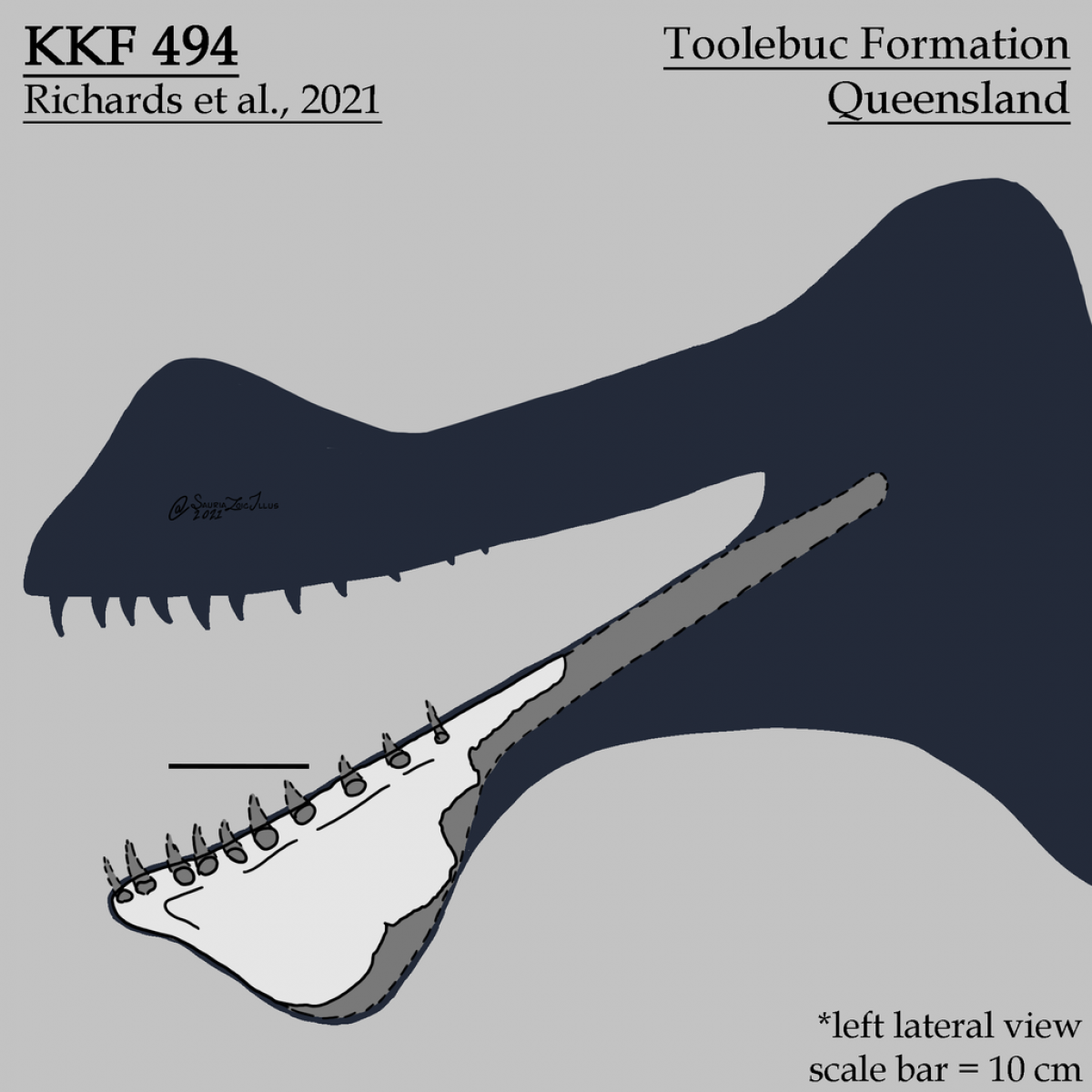 Here Is the Most Terrifying Pterosaur Ever Discovered | RealClearScience