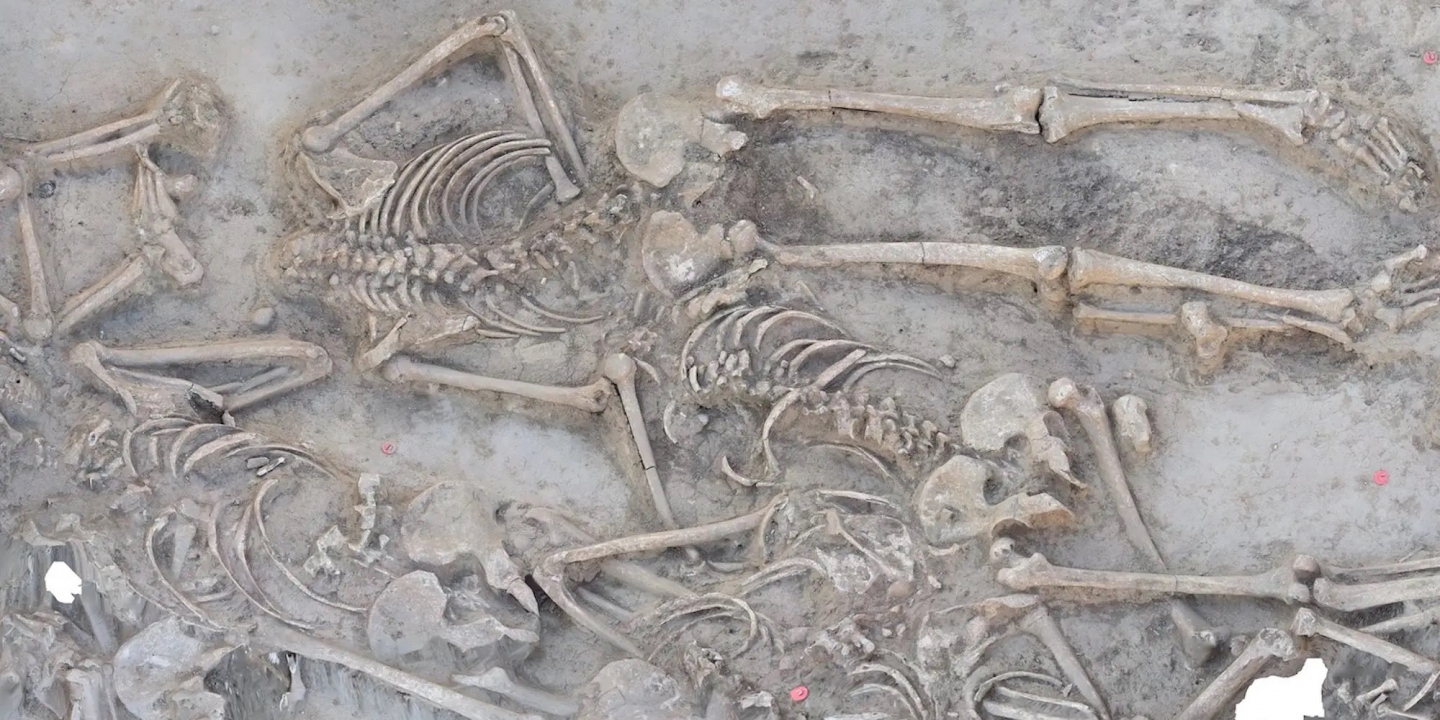 7,000-Year-Old Grave Filled With Decapitated Bodies | RealClearScience