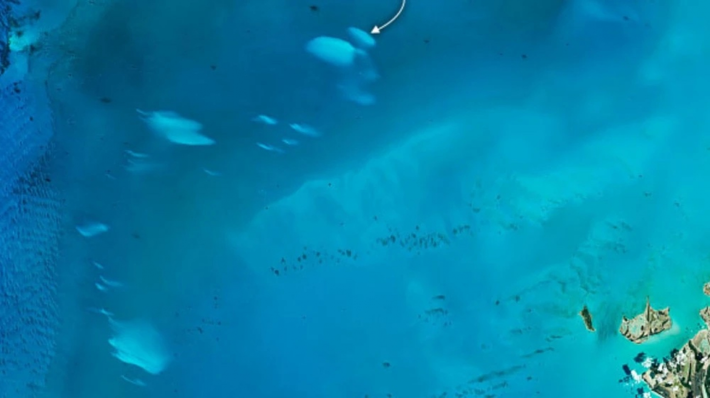 Mysterious White Spots Are Appearing in the Ocean | RealClearScience