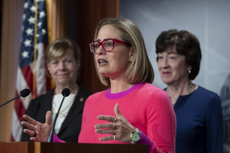 Is Arizona Becoming More Purple? 2024 Senate Race Will Tell ...