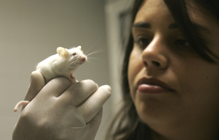 The Humans Who Live as Lab Rats | RealClearPolitics