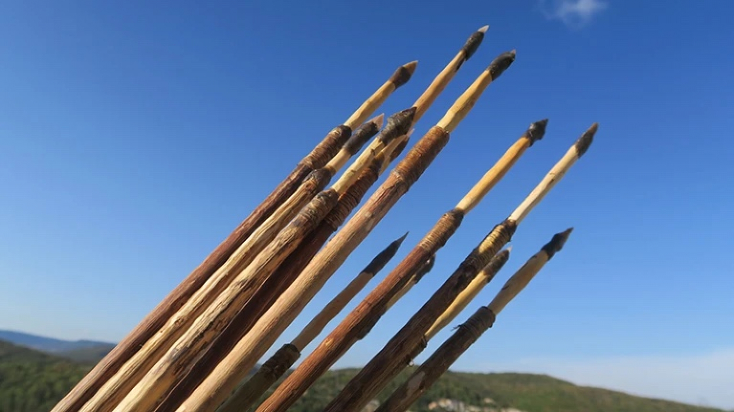 Europe's First Humans Hunted With Bows and Arrows | RealClearScience