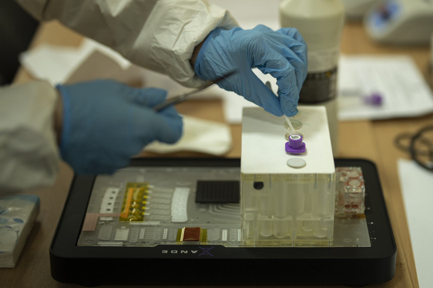 Discovery of DNA as Complex as Molecule Itself | RealClearHistory