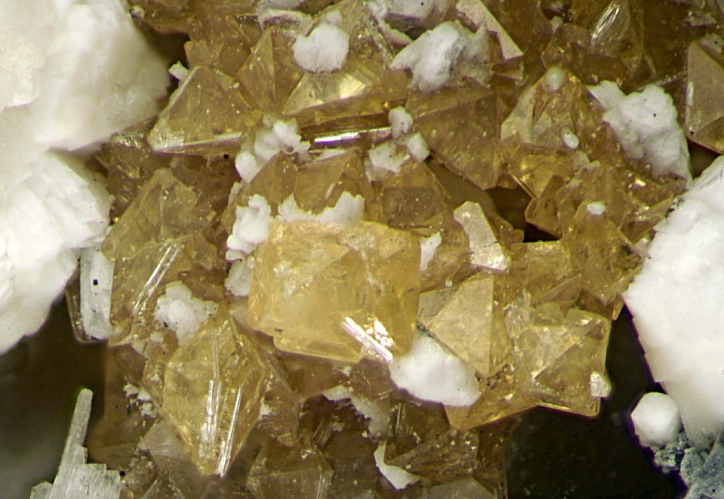 Was There Plate Tectonics When Life First Formed on Earth ...