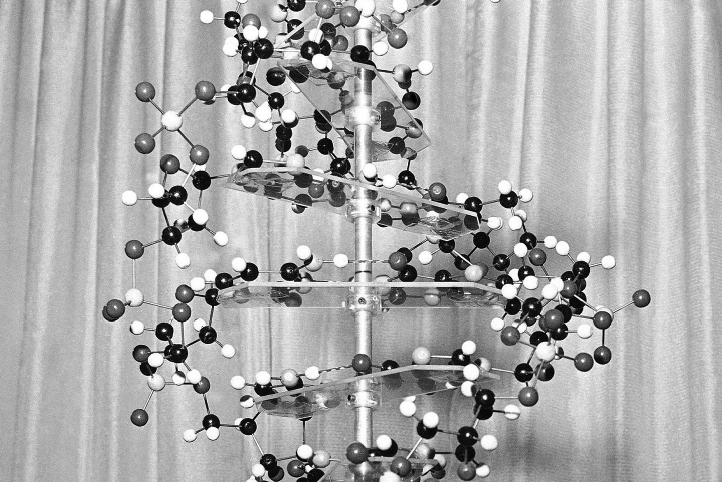 A Twist in the Tale of Rosalind Franklin and DNA | RealClearScience