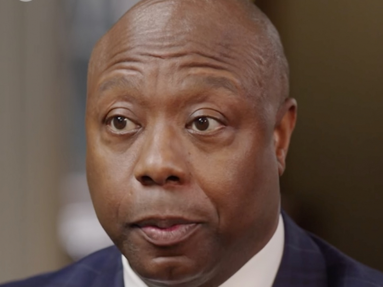 Sen. Tim Scott: I'm Not Going To Pretend There Is A Candidate That Is ...