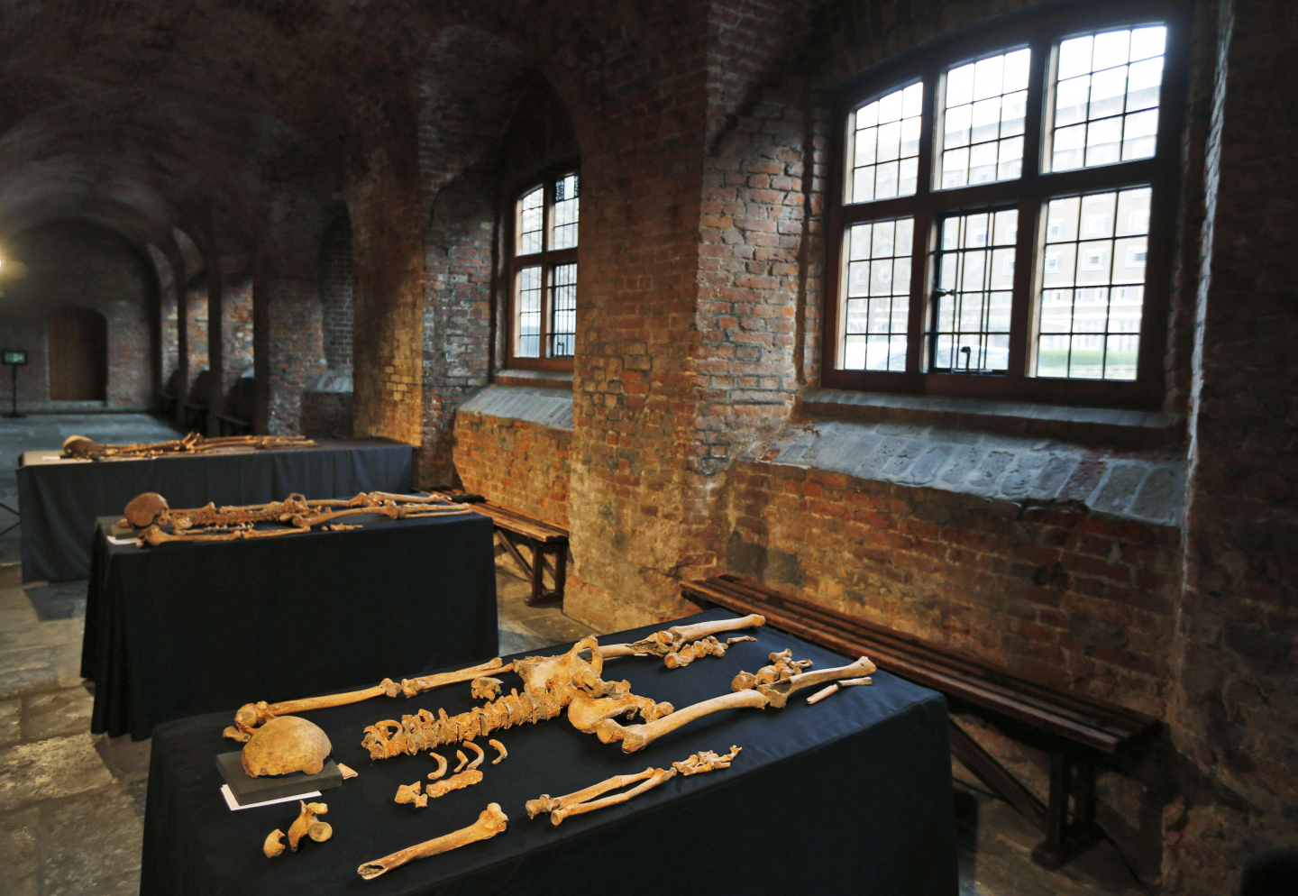 4,000-Year-Old Plague DNA Is Oldest Found in Britain | RealClearScience