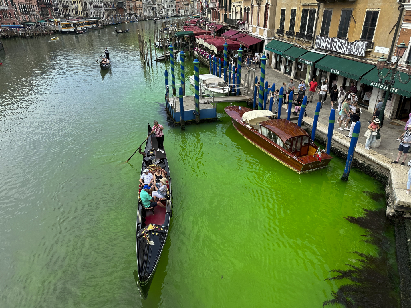 Why Did the Water in Venice’s Grand Canal Turn Bright Green ...